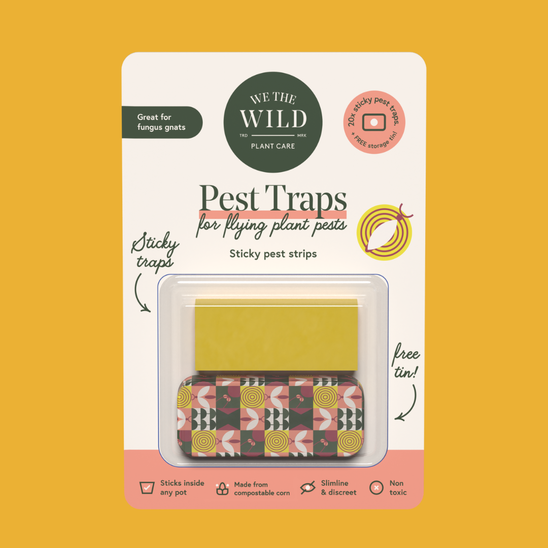 Compostable Gnat Traps - Case of 12 – We The Wild Wholesale